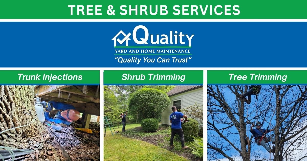 Tree & Shrub - Quality Yard and Home Maintenance